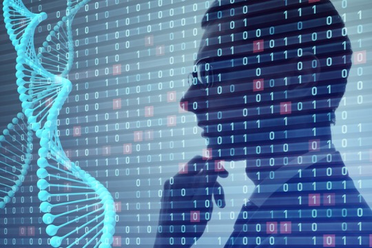 NMN Clinical Trials Result in No Safety Issues in Humans