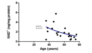 What is NAD+? | Why Is It Important? | NMN.com