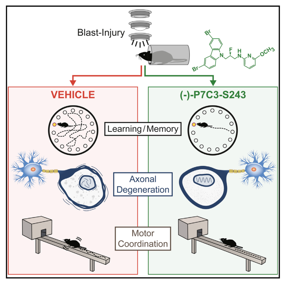 Neuroprotective Chemicals Prevent Neurodegeneration