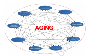 Aging Fits Disease Criteria Used by World Health Organization