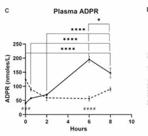 How NAD Levels Affect ATP