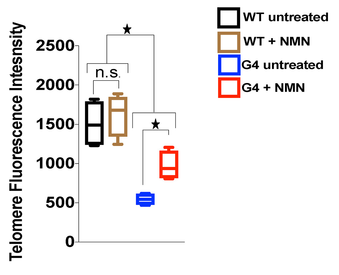 NMN May Improve Conditions Associated with Reduced DNA Integrity