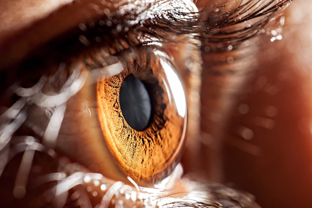 NAD+ Boosting Drops Treat Age-Related Dry Eye Disease