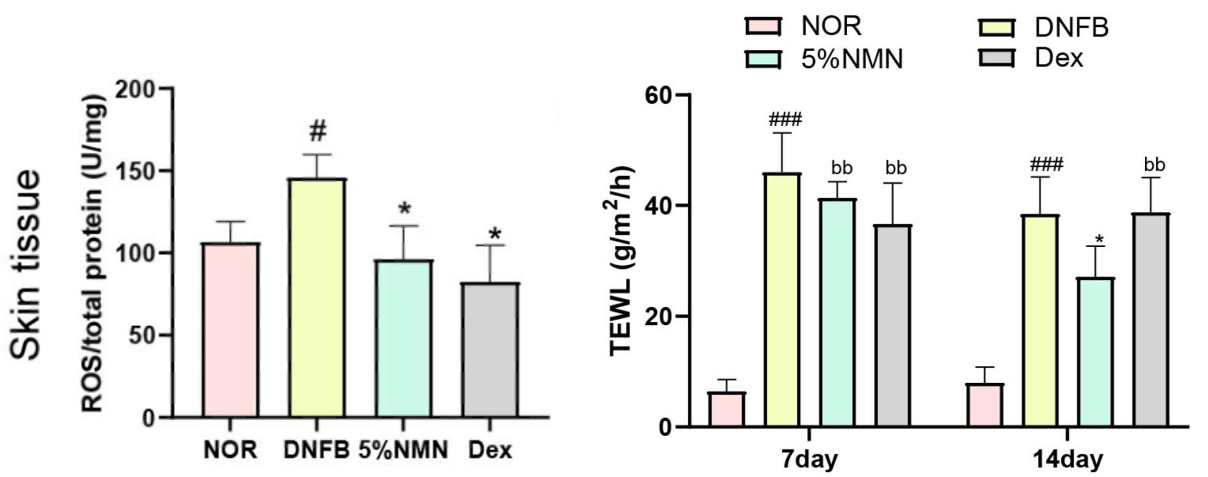 Researchers Show Topical NMN Relieves Skin Inflammation