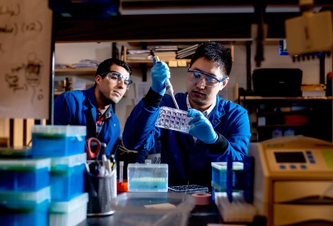 New Study Finds NAD+ Precursors Promote Wound Healing by Leveraging ...