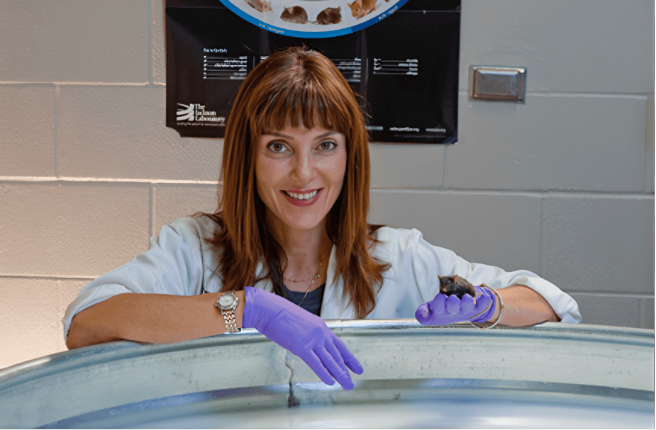 New Study Shows Rapamycin Restores Blood Flow to Aging Limbs