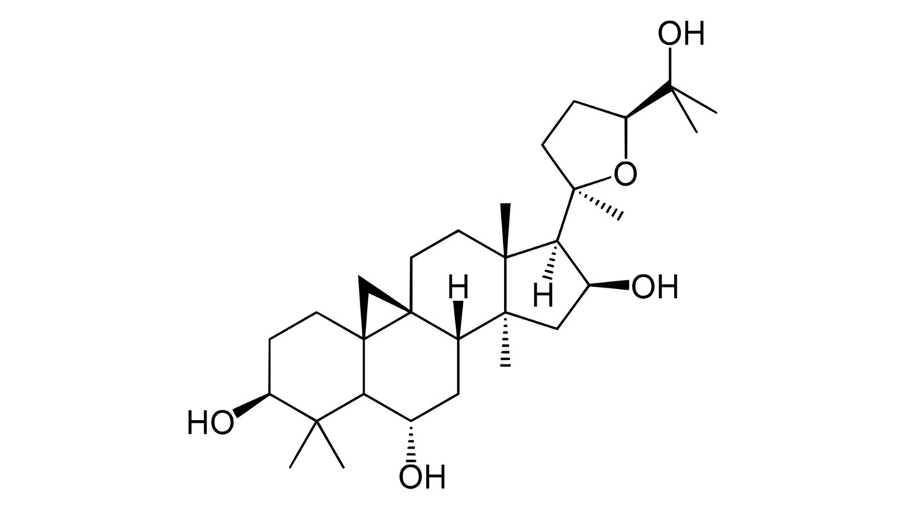 Scientists Discover Plant Compound Exerts Anti-aging Senolytic Effects Scientists Discover Plant Compound Exerts Anti-aging Senolytic Effects