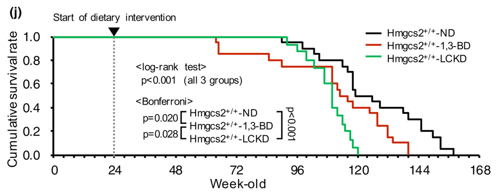 Researchers Find Low-Carb Ketogenic Diet Can Reduce Lifespan in Mice