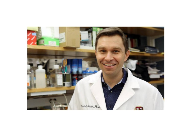 Harvard’s David Sinclair Unveils Age-Reversing Small Molecule Cocktails that Rejuvenate Cells
