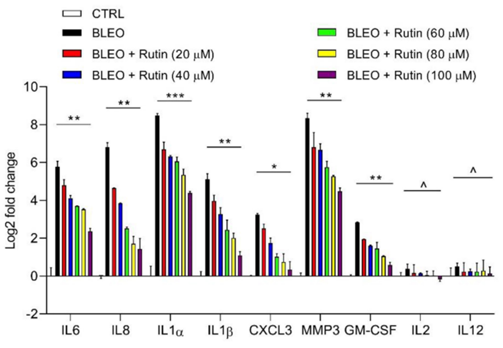 Study Reveals: Senomorphic Rutin Amplifies Cancer Treatment Efficacy | NMN