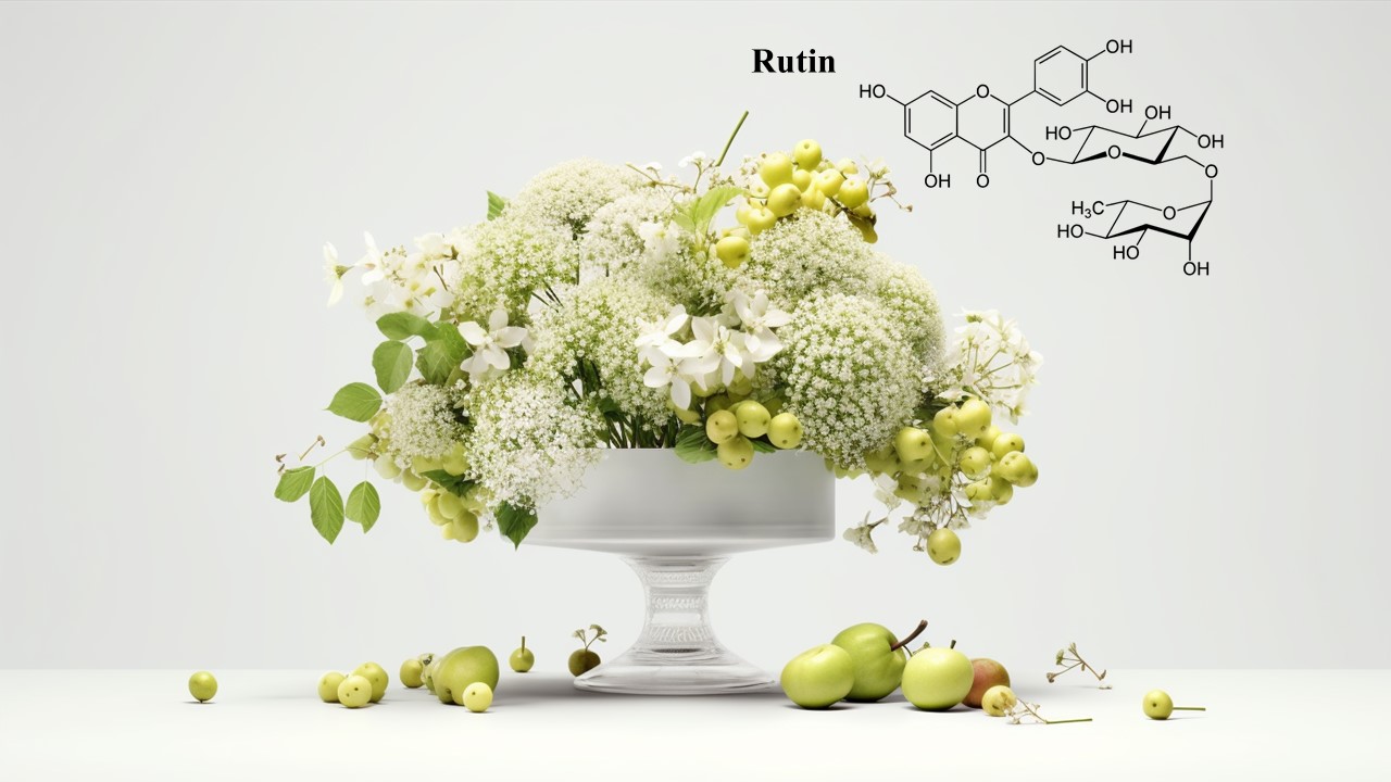 Study Reveals: Senomorphic Rutin Amplifies Cancer Treatment Efficacy | NMN