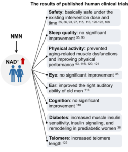 Exploring NMN Human Trial Advancements