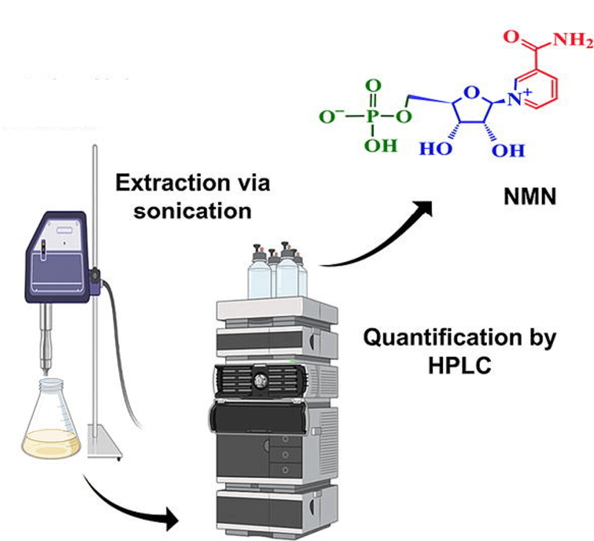 How Are NMN Supplements Made?
