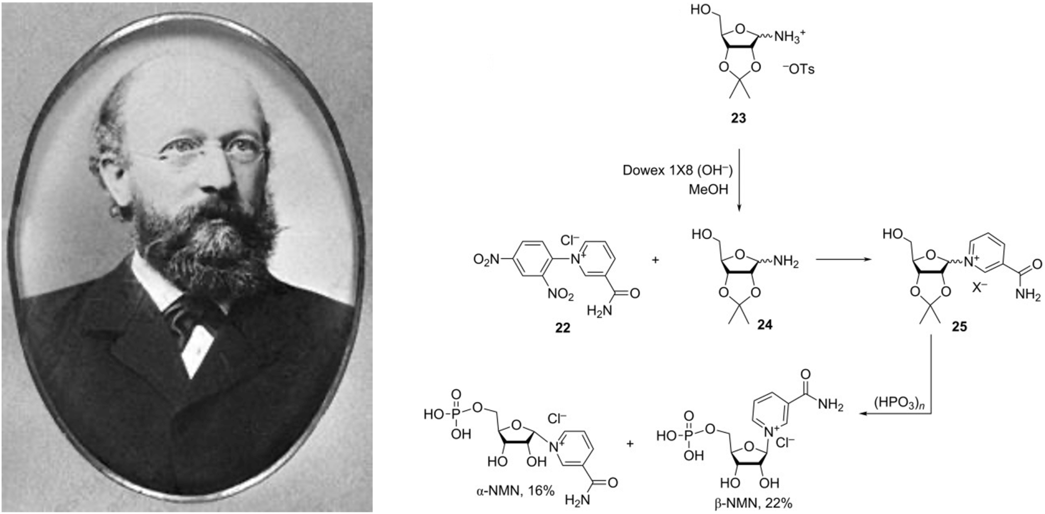 How Are NMN Supplements Made?