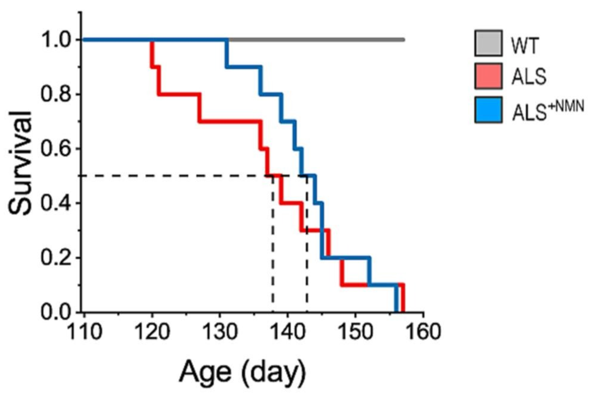 New Study Shows NMN Prolongs the Lifespan of ALS Mice, by Boosting NAD+?