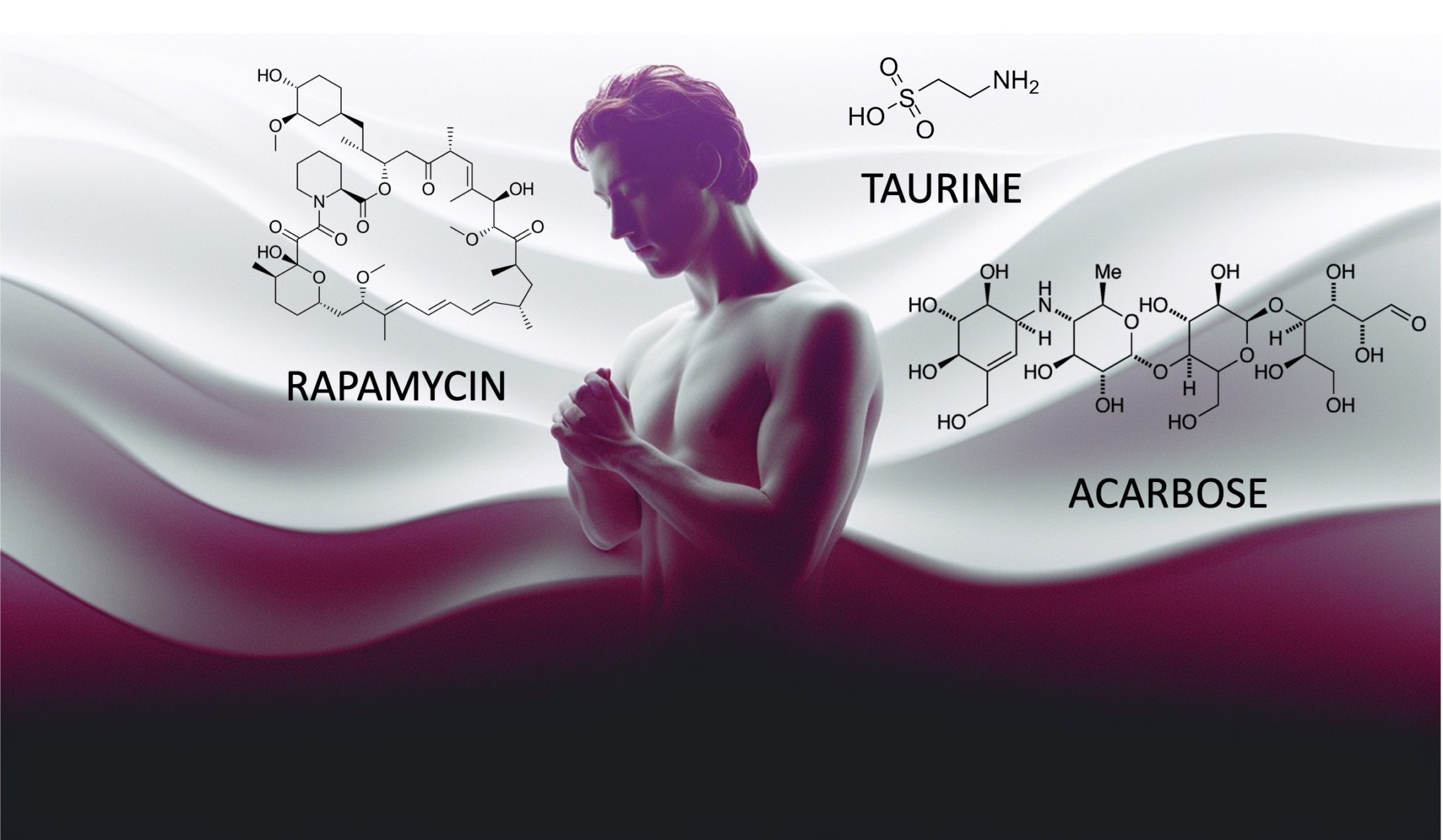 Bryan Johnson’s Top Three Anti-Aging Compounds: How the Science Measures Up
