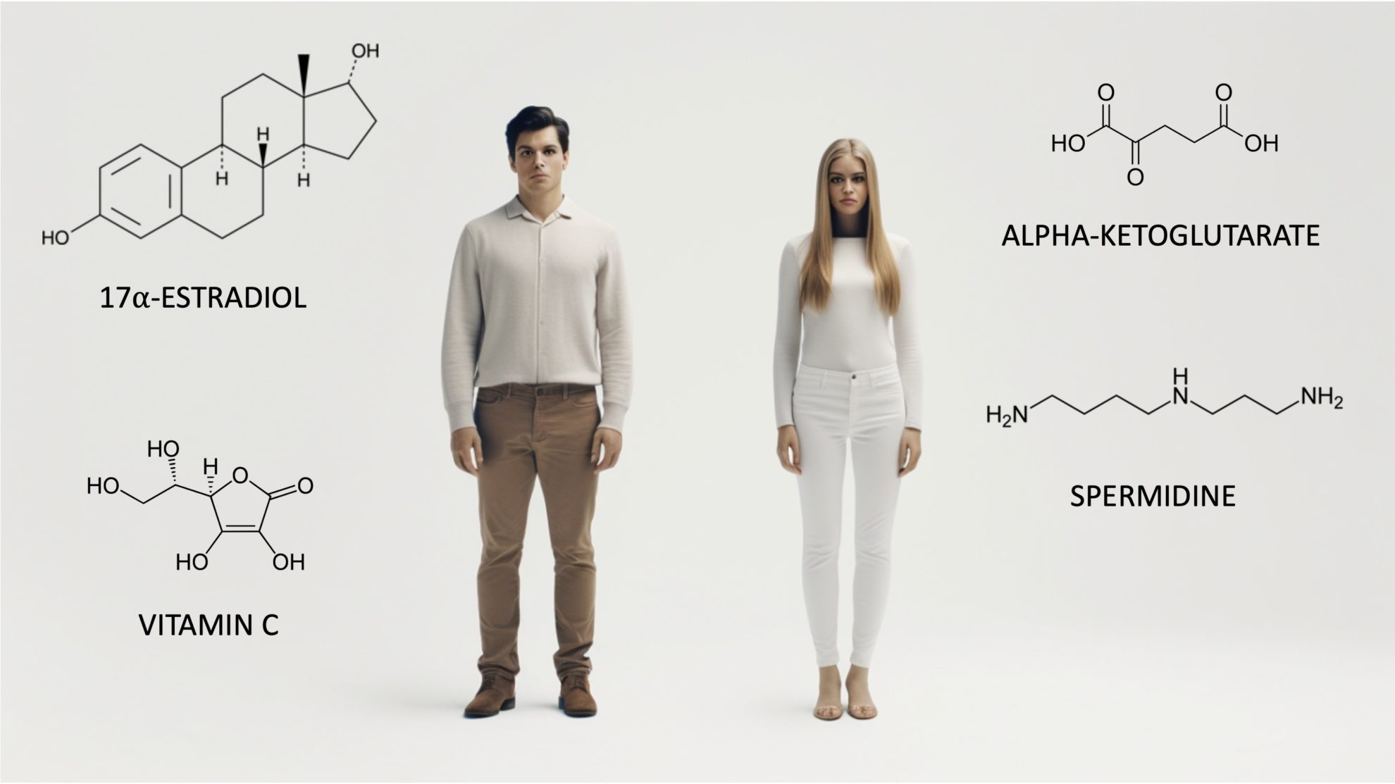 Bryan Johnson’s Top Three Anti-Aging Compounds: How the Science Measures Up