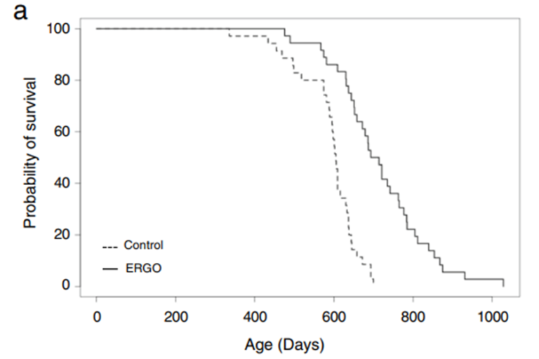 The Magic of Longevity Mushrooms: Ergothioneine’s Remarkable Impact on ... The Magic of Longevity Mushrooms: Ergothioneine’s Remarkable Impact on ...