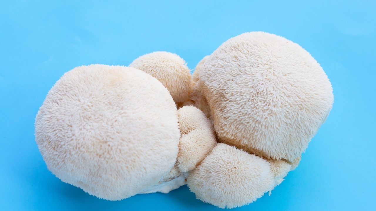 The Magic of Longevity Mushrooms: Ergothioneine’s Remarkable Impact on ... The Magic of Longevity Mushrooms: Ergothioneine’s Remarkable Impact on ...
