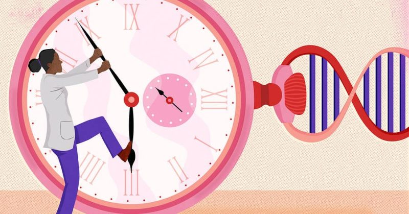 New Epigenetic Clocks Advance Age Assessment Precision