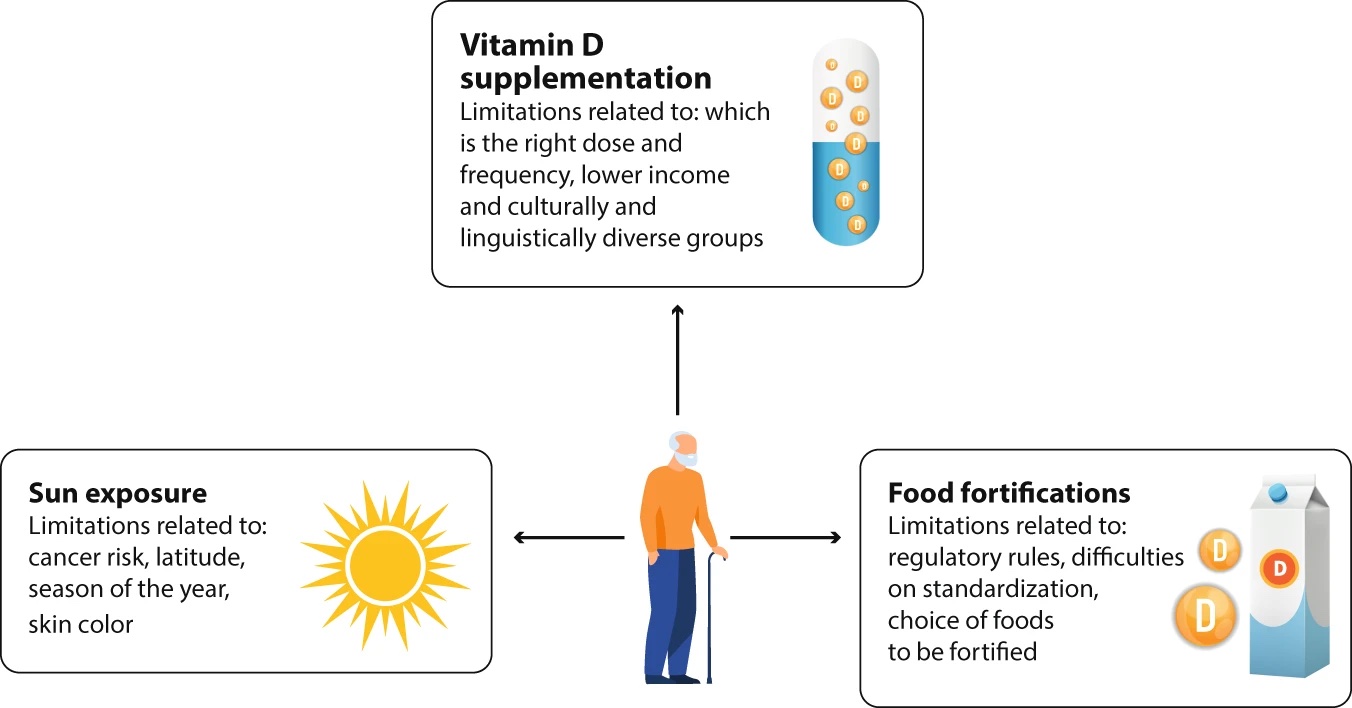 NAC Boosts Vitamin D Against Senescent Cells, New Study Reveals