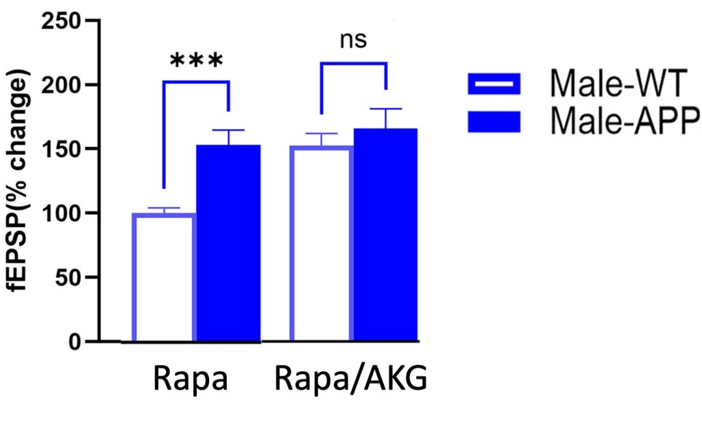 Life-Extending Molecule Alpha-Ketoglutarate Protects Against Brain ...